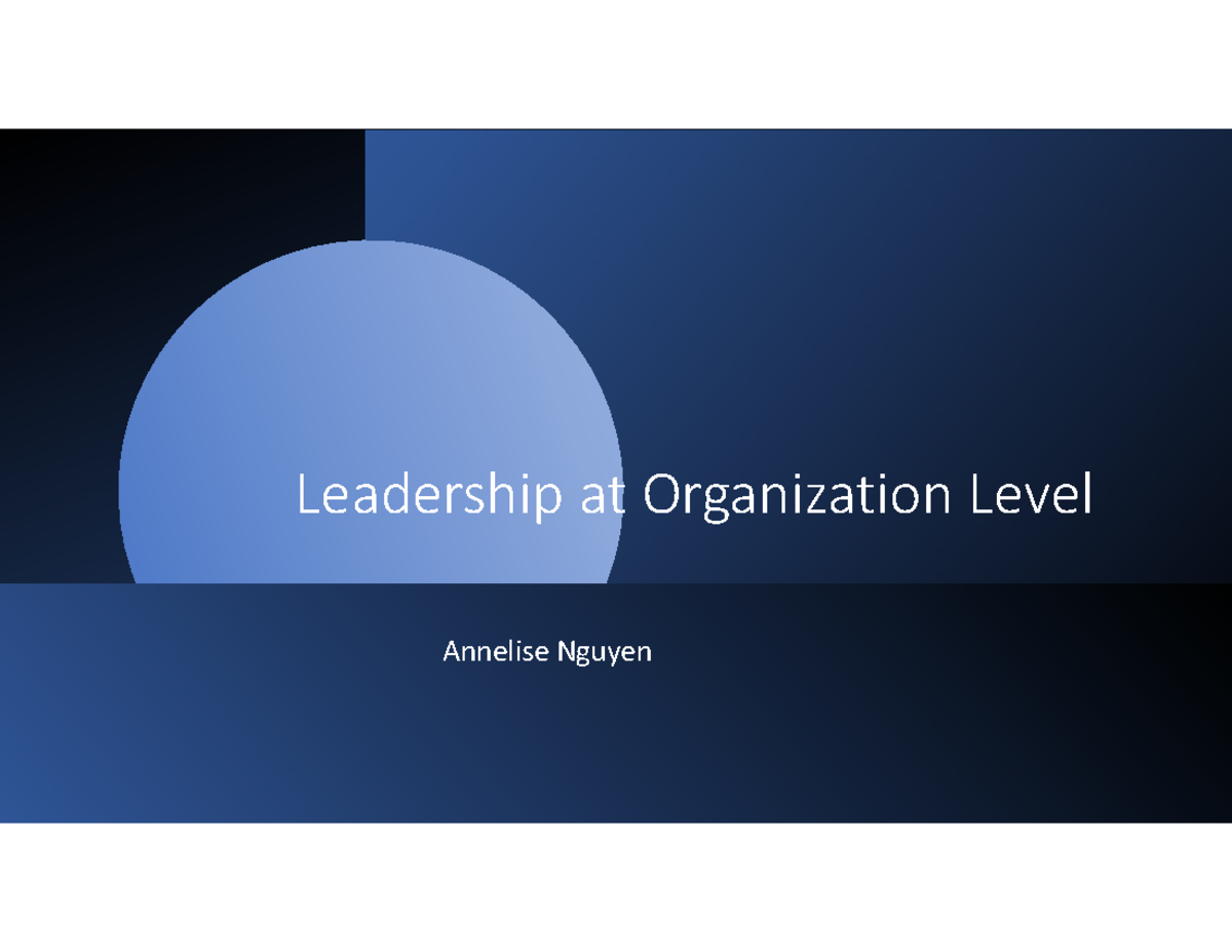 Leadership at Organization Level Community Global - Leadership at ...