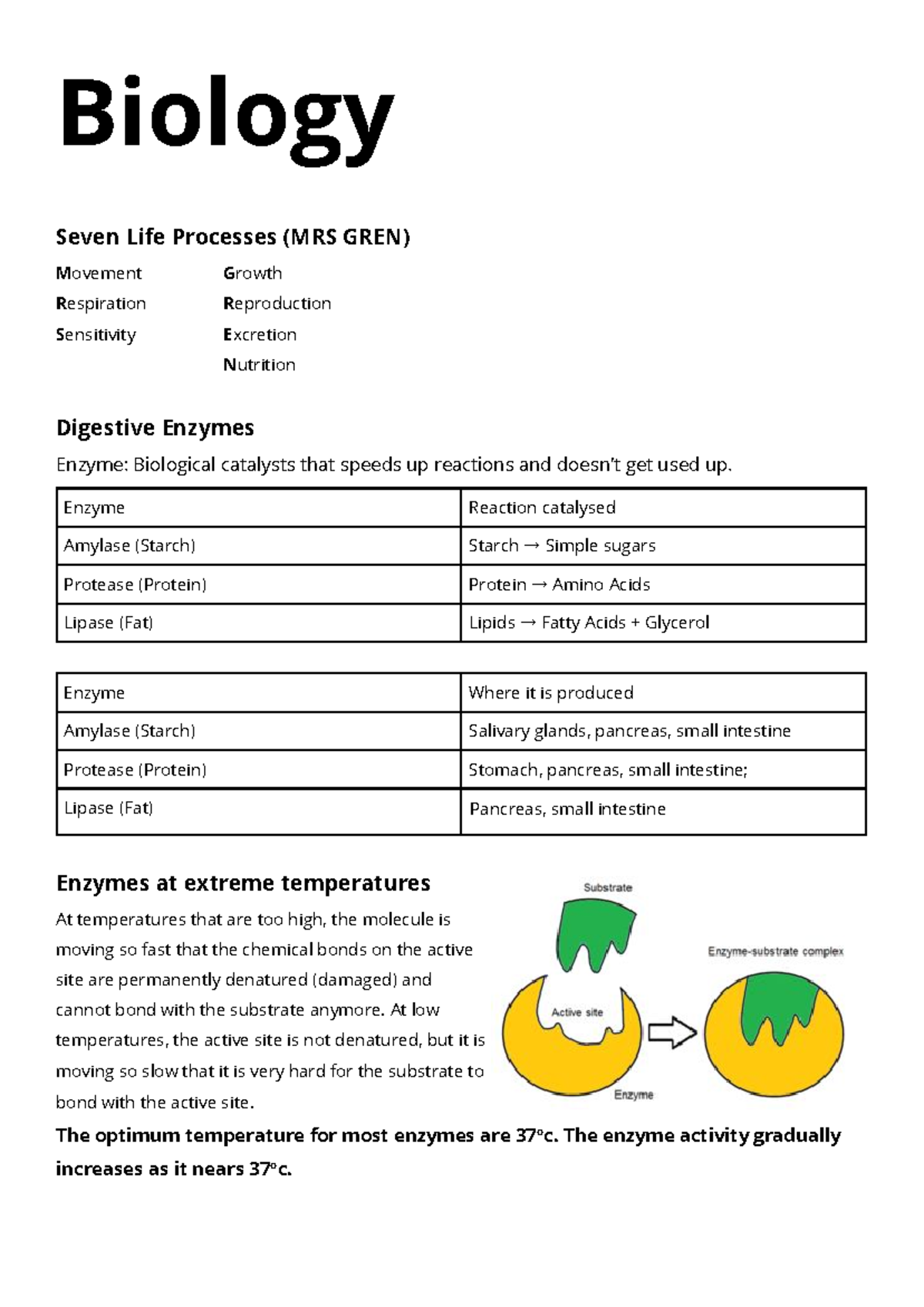 Y10 Biology Notes - Biology Seven Life Processes (MRS GREN) Movement ...