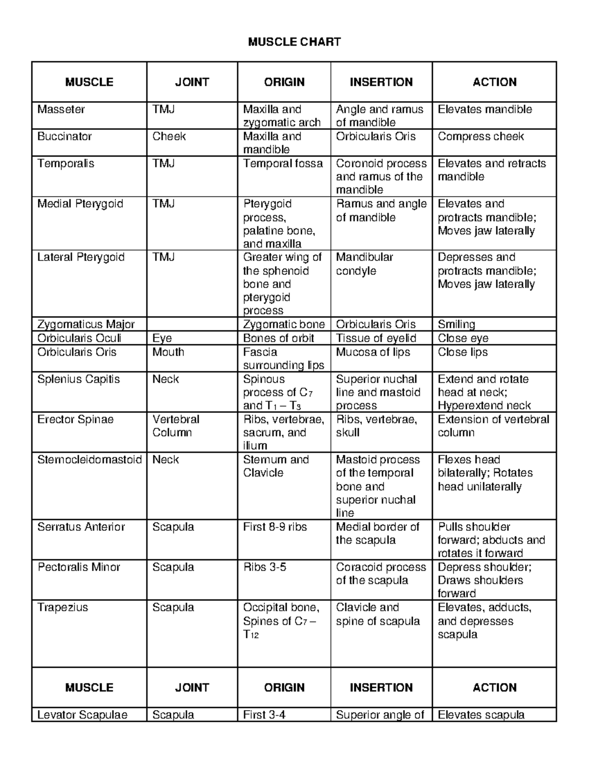 Muscle Chart ADA - Needed info for the first day before one can go to ...