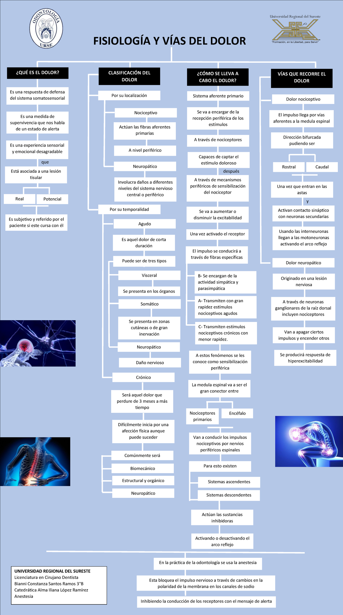 Fisiología y vías del dolor, qué es el dolor, clasificación, cómo se ...
