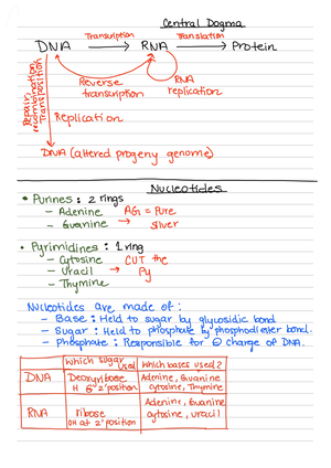 Module 5 Translation Answer Sheet - Genomics Education Partnership Last ...