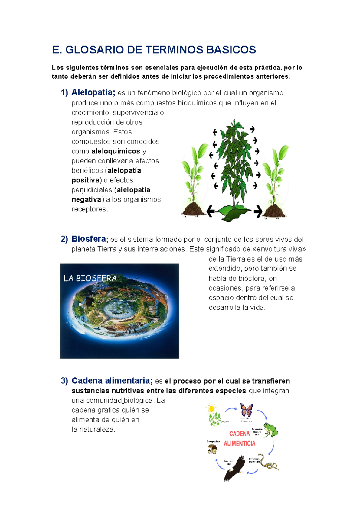 Trabajo de biologia - llna - E. GLOSARIO DE TERMINOS BASICOS Los ...