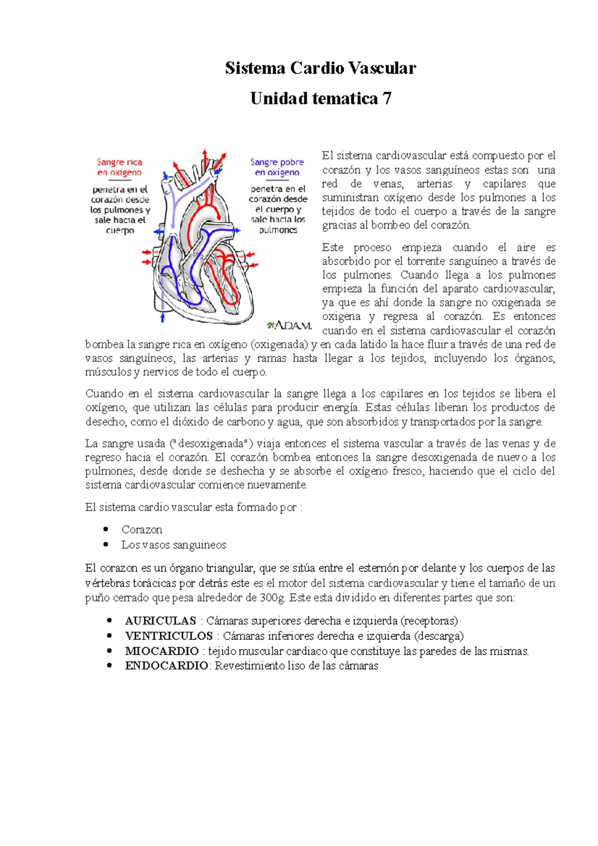 задача S - trabajo - Sistema Cardio Vascular Unidad tematica 7 El ...