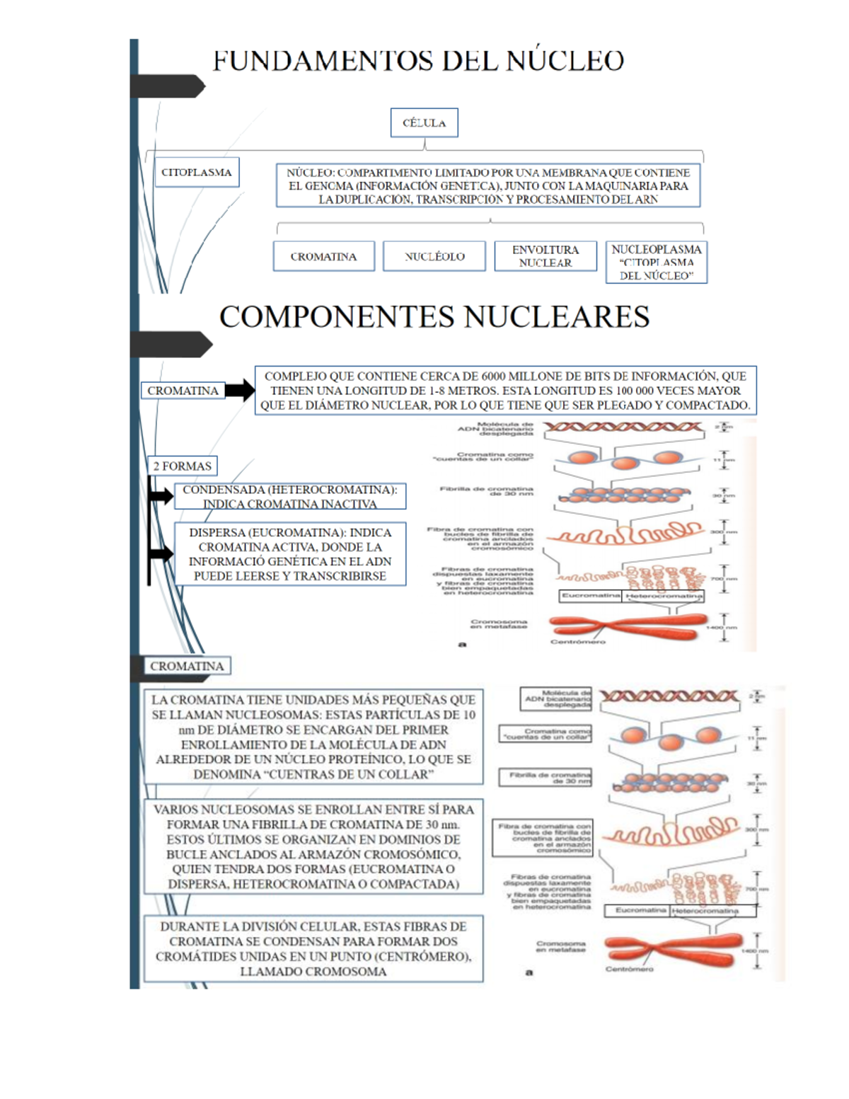 Cap. 3 nucleo - Hidrologia Aplicada - ANOIQUIS: FORMA DE APOPTOSIS ...
