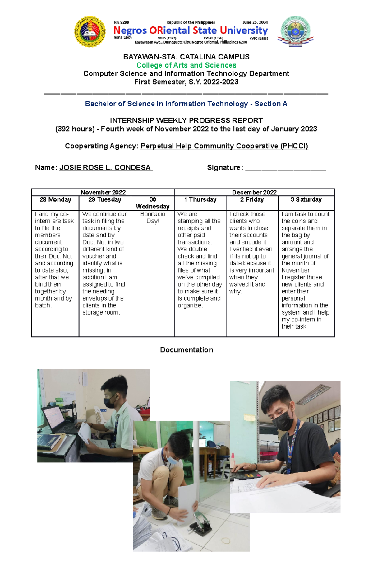 Internship-Progress-Report 28-3 - BAYAWAN-STA. CATALINA CAMPUS College ...