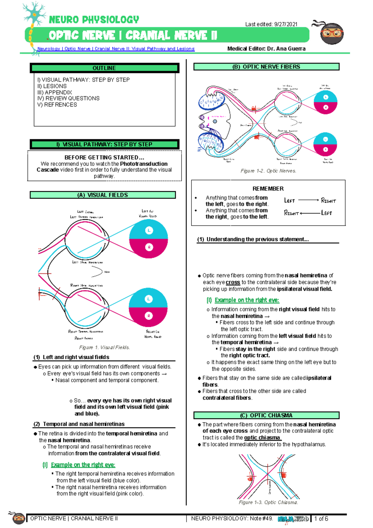 114 Neurology Physiology Optic Nerve Cranial Nerve II Visual Pathway ...