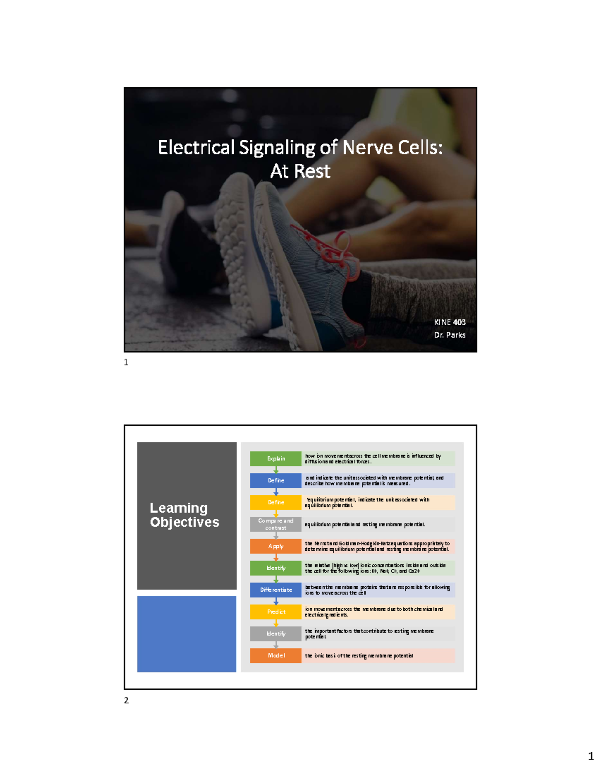 Electrical Signaling of Nerve Cells: At Rest - Studocu