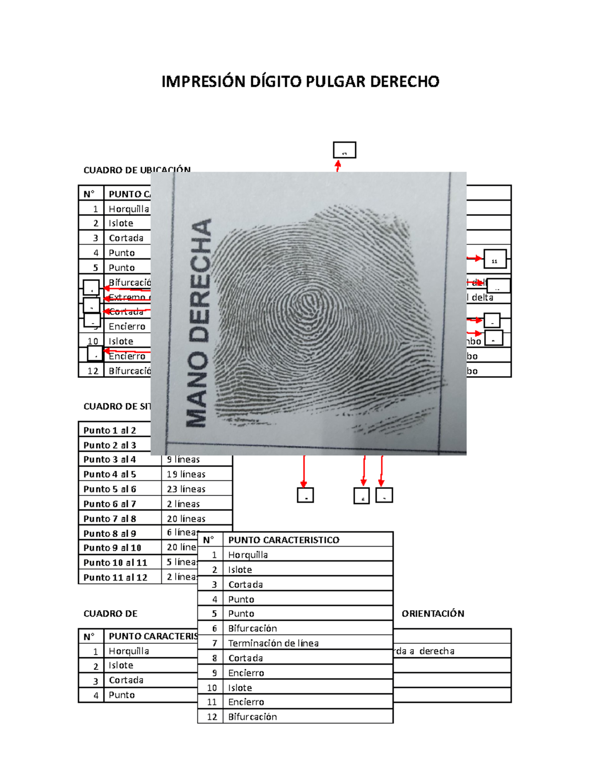Tarea 1 - por si su interes - IMPRESIÓN DÍGITO PULGAR DERECHO CUADRO DE ...