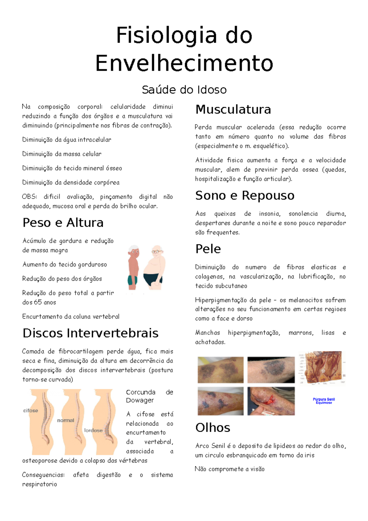 Fisiologia do Envelhecimento - Fisiologia do Envelhecimento Saúde do ...