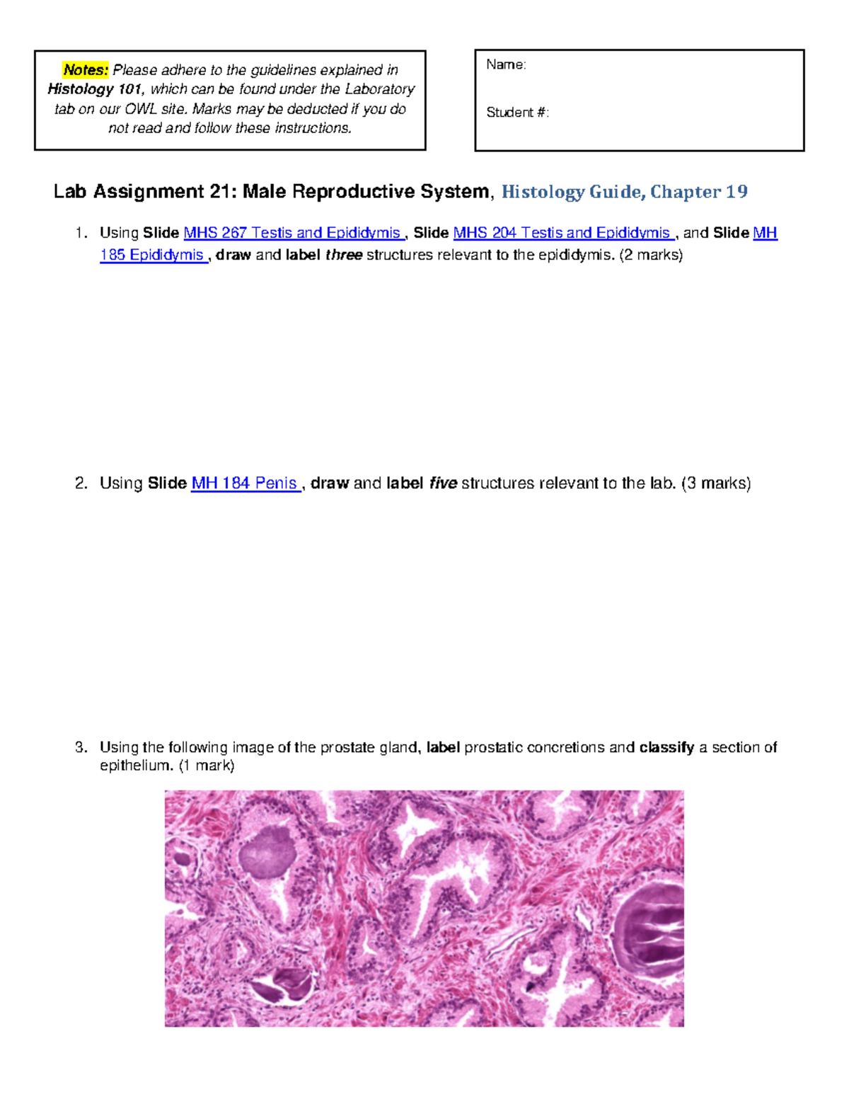 Lab 21 assignment FW21 22 - Name: Student #: Lab Assignment 21: Male ...