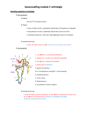 Flow opdrachten stage HV I 2122 - Tijdlijn stageopdrachten HV I 1 Week ...
