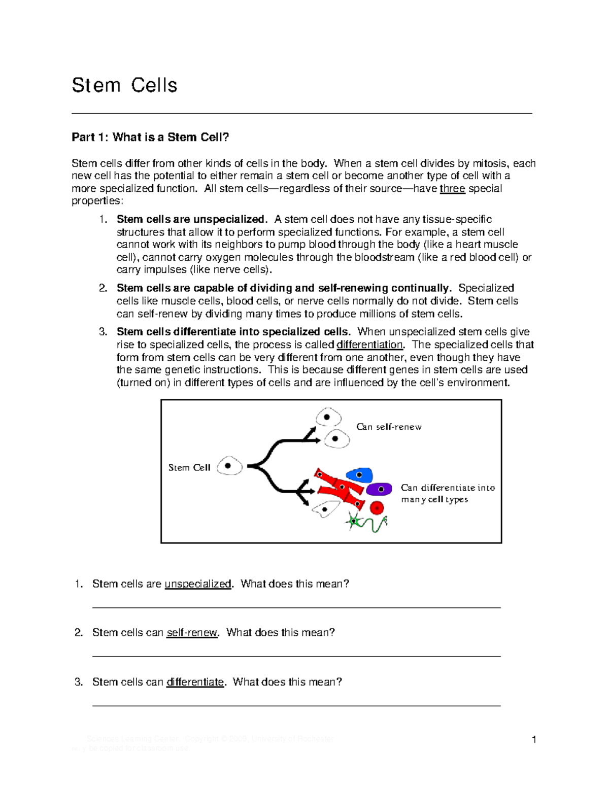 Stem Cells p.1to3 adapted from U - Life Sciences Learning Center ...