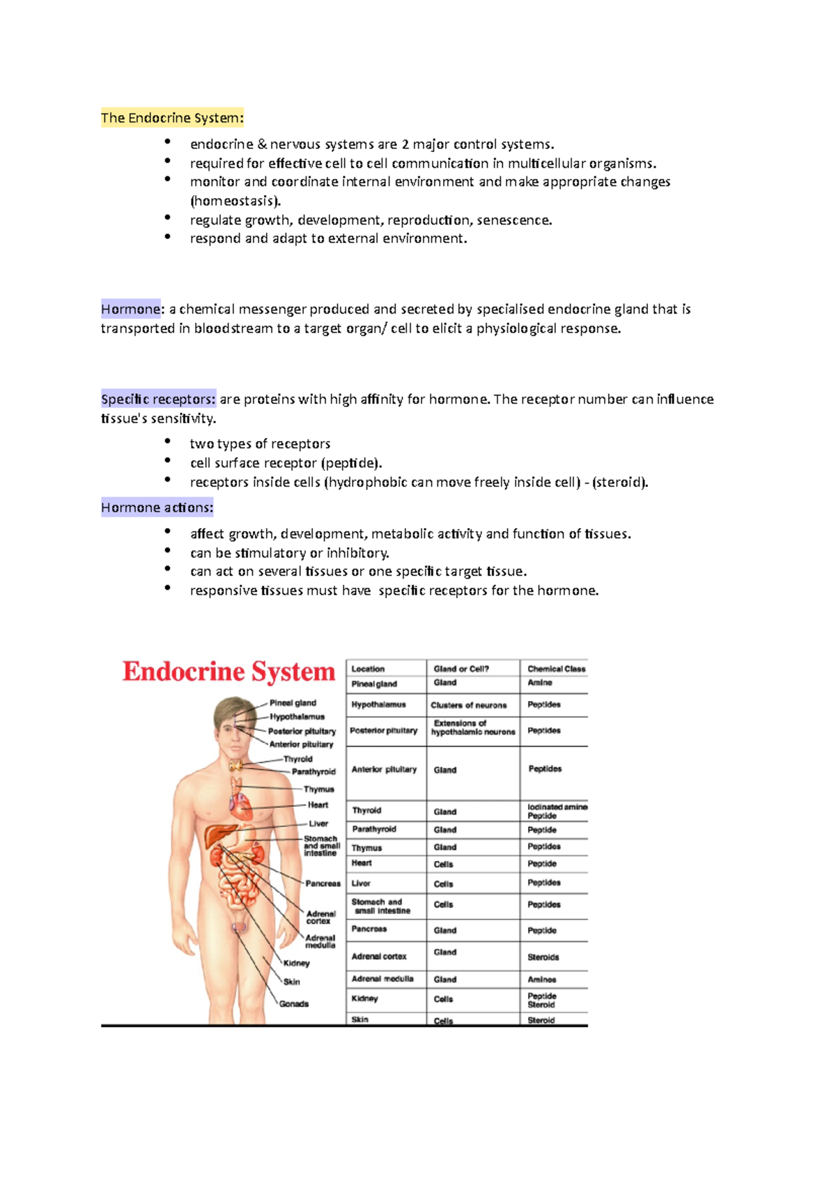 The Endocrine System and Diseases in Pathology - The Endocrine System ...