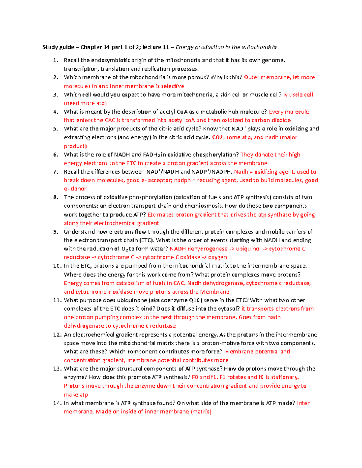 Study guide - Chapter 14 part 1 of 2 - energy production in the ...