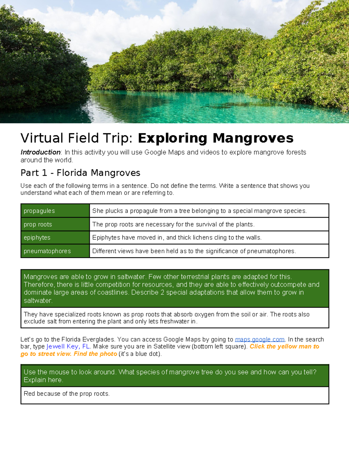 Mangroves Virtual Field Trip - Virtual Field Trip: Exploring Mangroves Introduction: In this ...