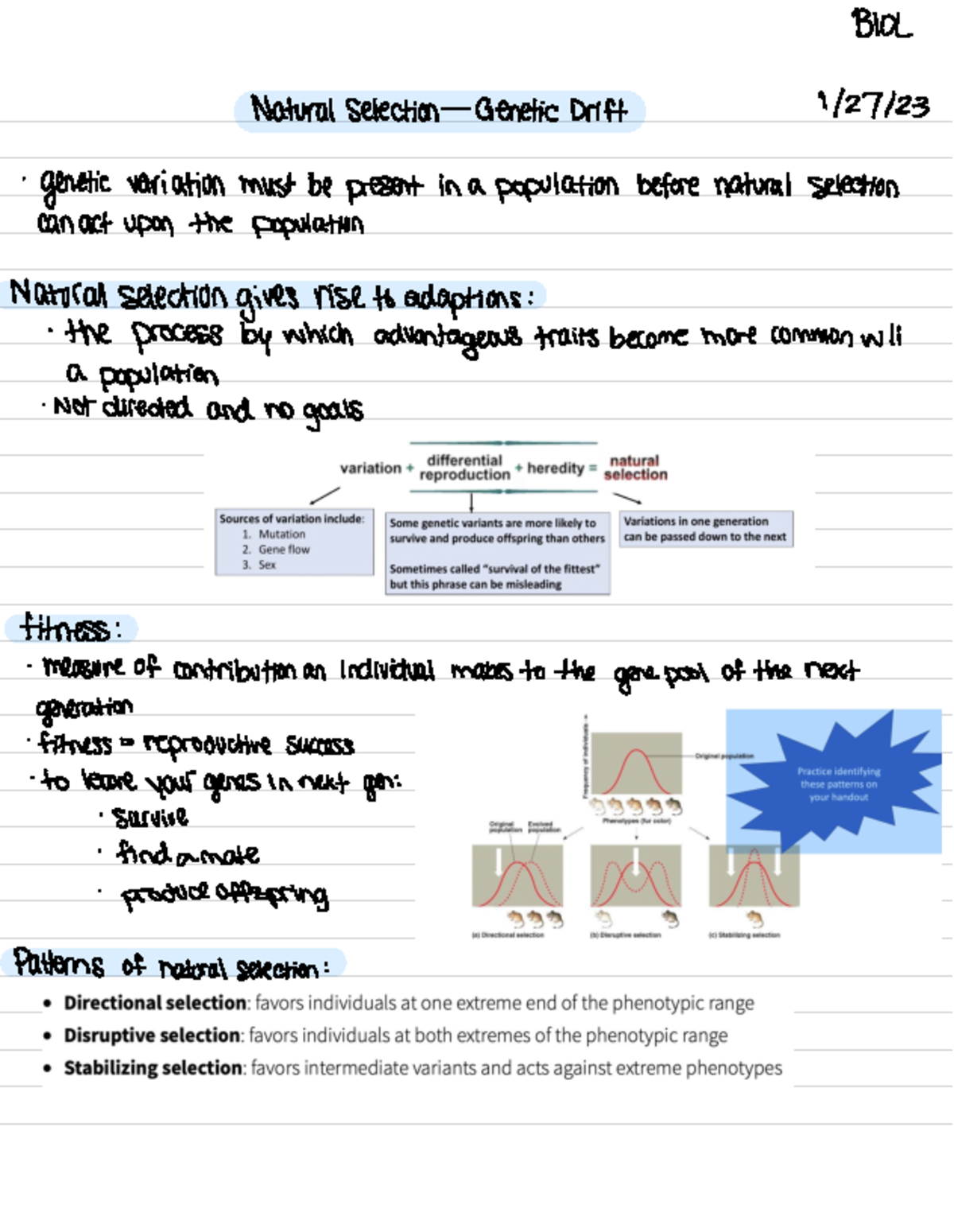 Biol 102 natural selection and genetic drift - BIOL Natural Selection ...