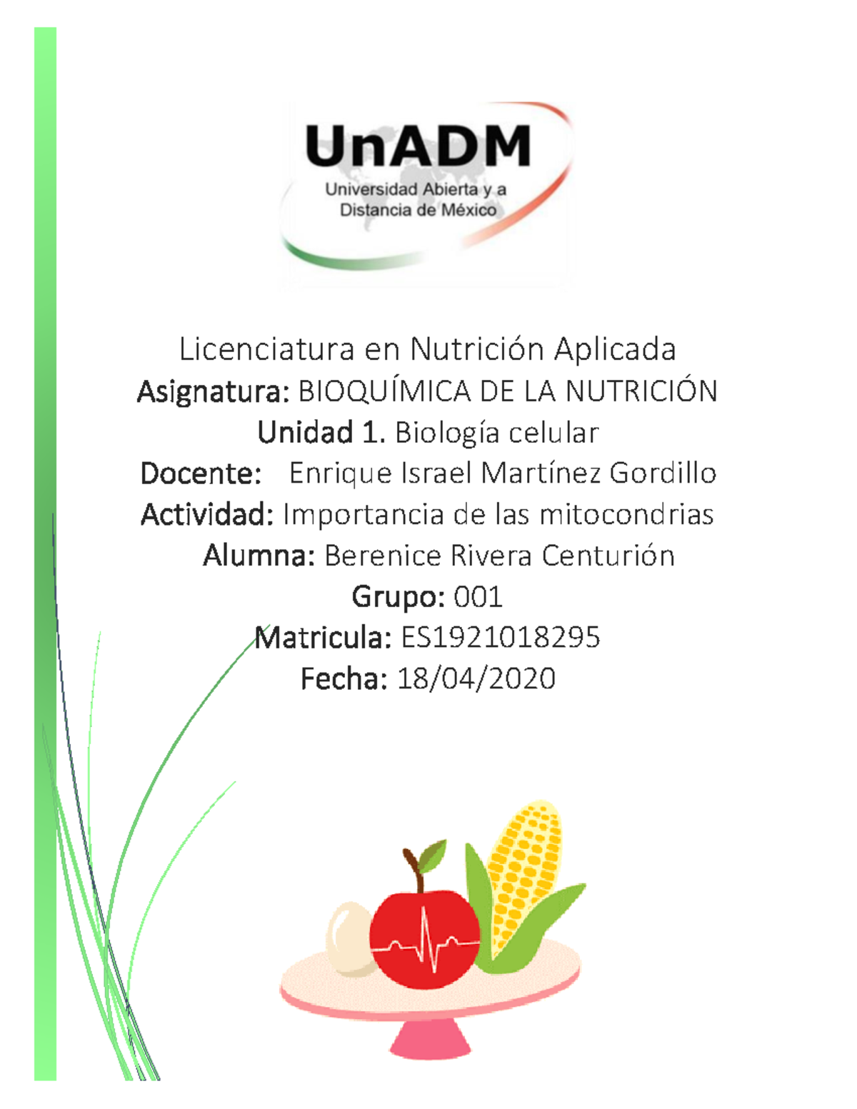 La mitocondria - Licenciatura en NutriciÛn Aplicada Asignatura: BIOQUÕMICA DE LA NUTRICI”N ...