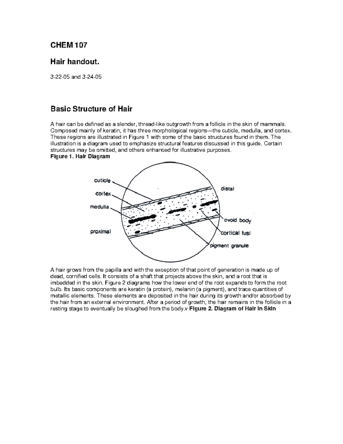 Hair info - Lesson - CHEM 107 Hair handout. 3-22-05 and 3-24- Basic ...