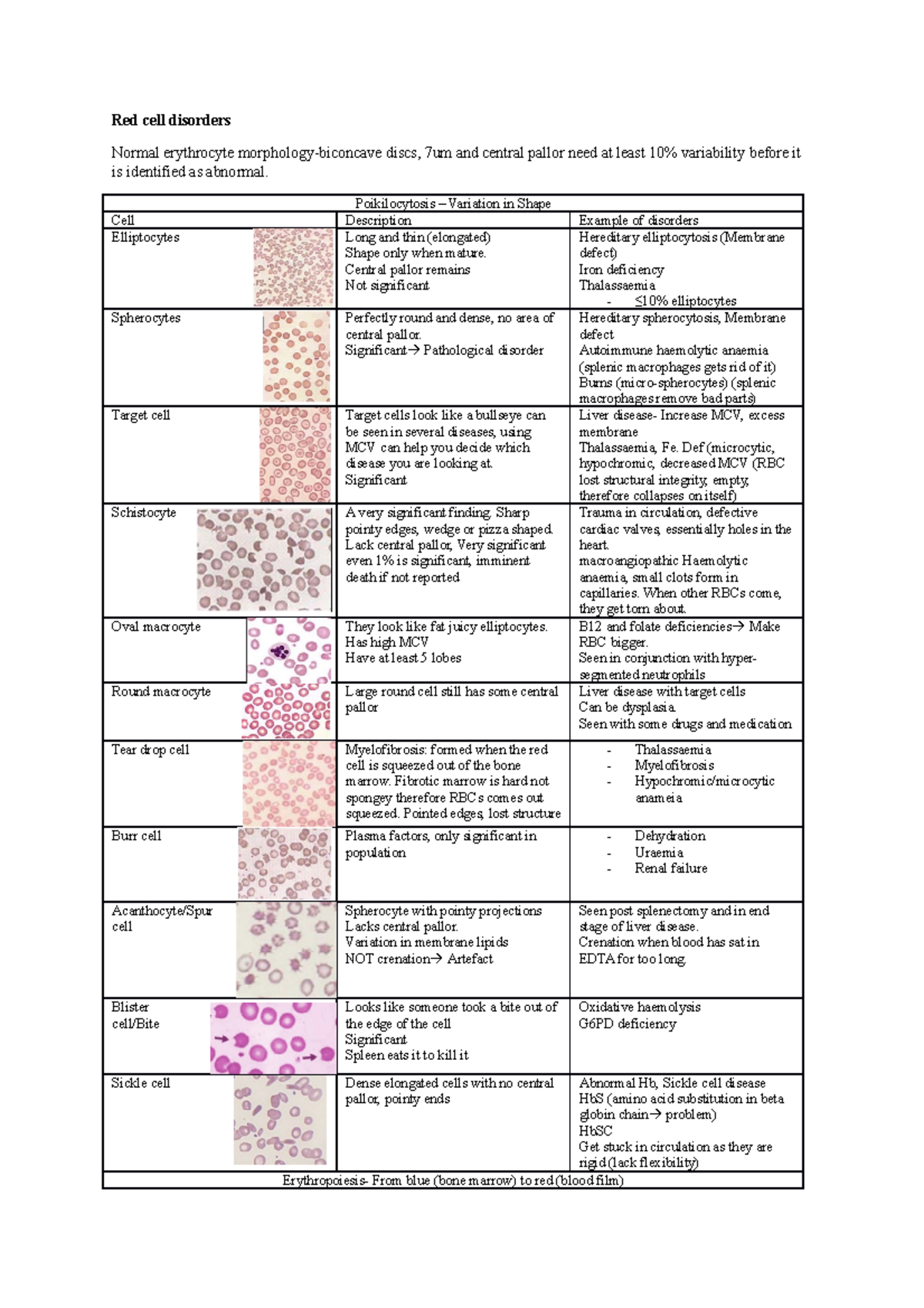 Skills test sheet Part A 2 - Red cell disorders Normal erythrocyte ...