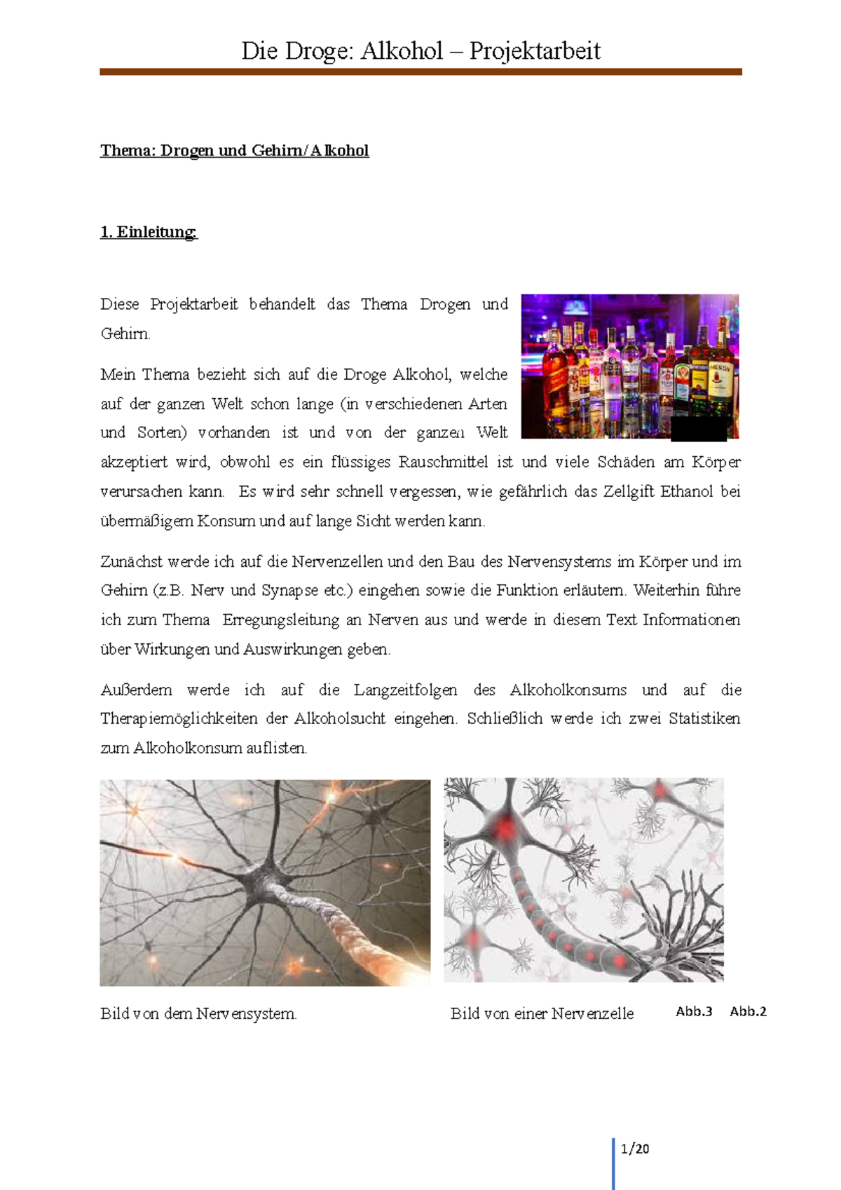 Projekt Alkohol - Sommersemester, Note 1 - Thema: Drogen und Gehirn ...