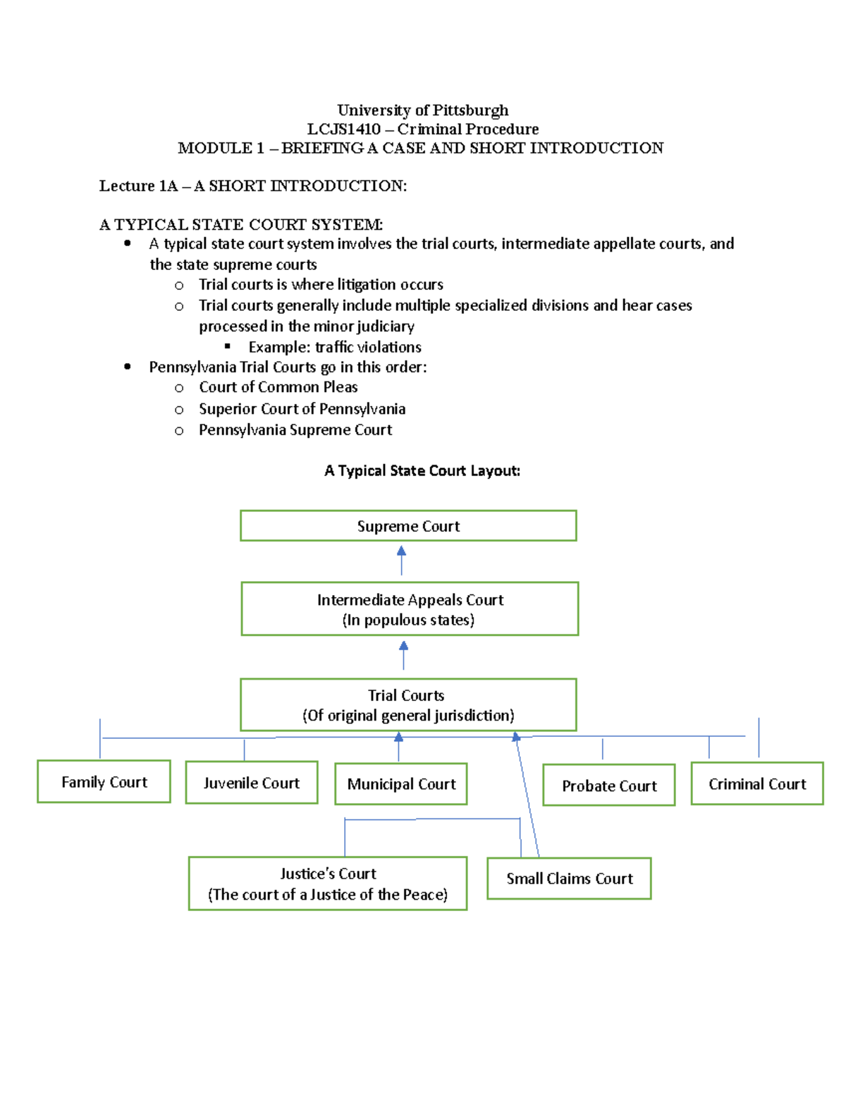 Module 1A - Typical State Court System - University of Pittsburgh ...