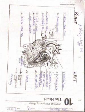 2 Exploration - Geologic Time Scale Station Lab v2 - Print Version ...