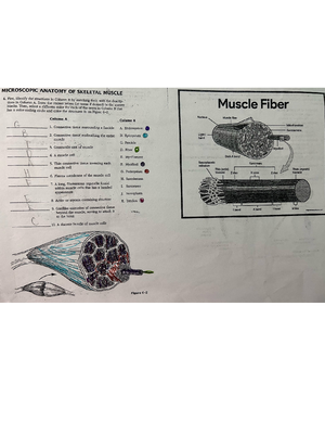 Chapter 5 Blackboard Assignment - LINK 101 Blackboard Assignments ...