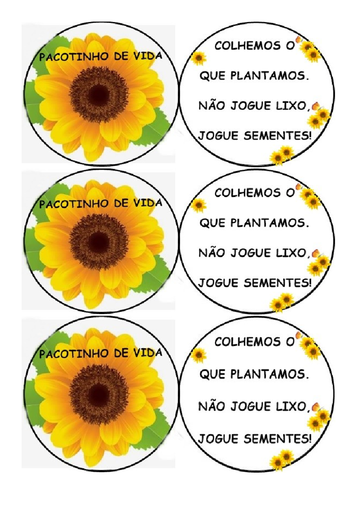 Girassol MEIO Ambiente - Cálculo Diferencial e Integral III - Studocu