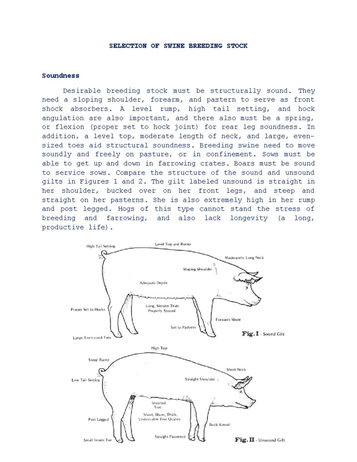 Selection OF Swine Breeding Stock - SELECTION OF SWINE BREEDING STOCK ...