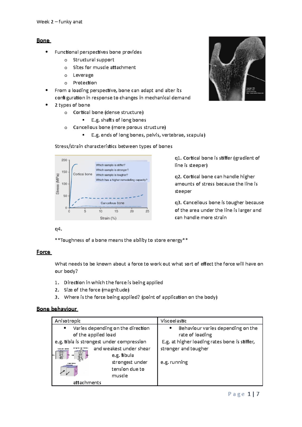 Week 2 lecture - bone loading - Bone Funcional perspecives bone ...
