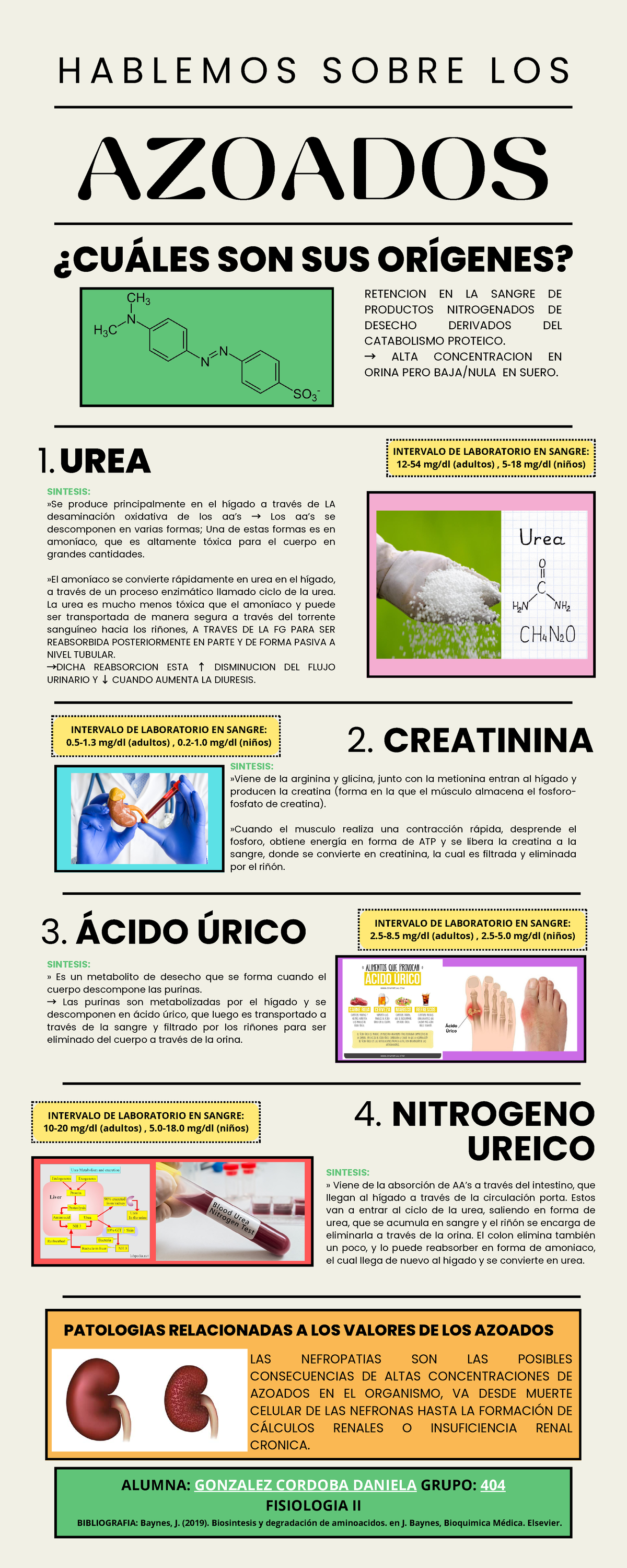 Azoados - BREVE INFOGRAFIA - AZOADOS PATOLOGIAS RELACIONADAS A LOS ...