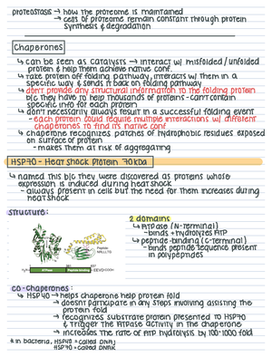 Filled answers Go-Go-Stem-Cells worksheet pdf - NAME DATE Go, Go, Stem ...