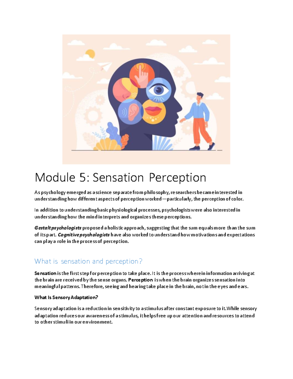 Module 5 Sensation Perception - Module 5: Sensation Perception As ...