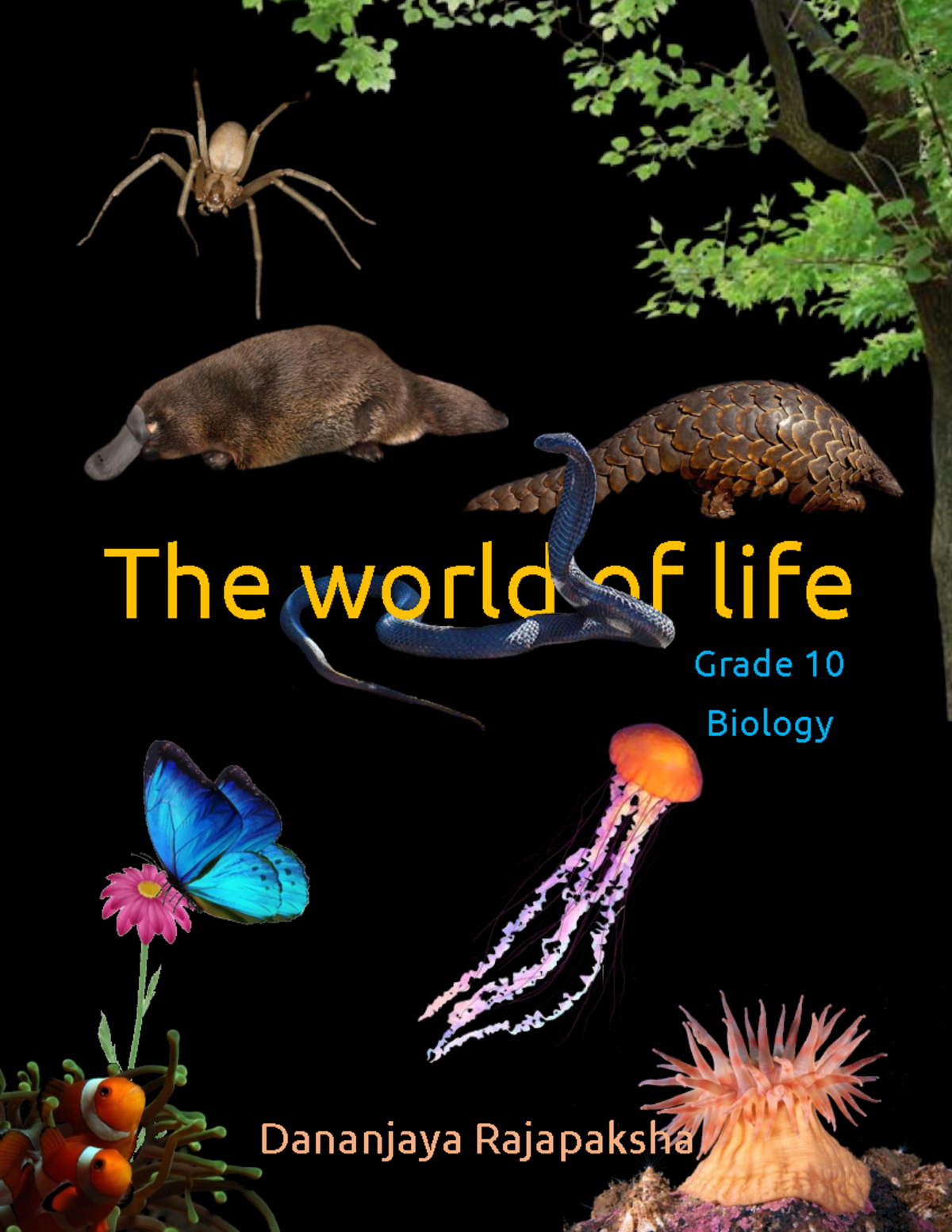 Organisms classification, Animal Diversity, (Archea, Eucarya, Bacteria ...