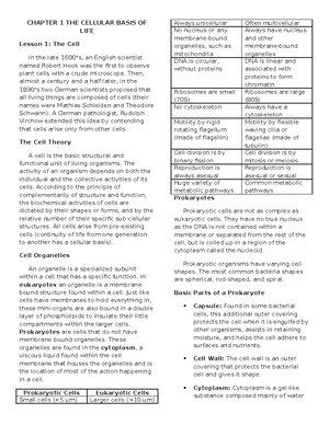 Lesson 6 Cellular respiration - biology - Lesson 6: Cellular ...