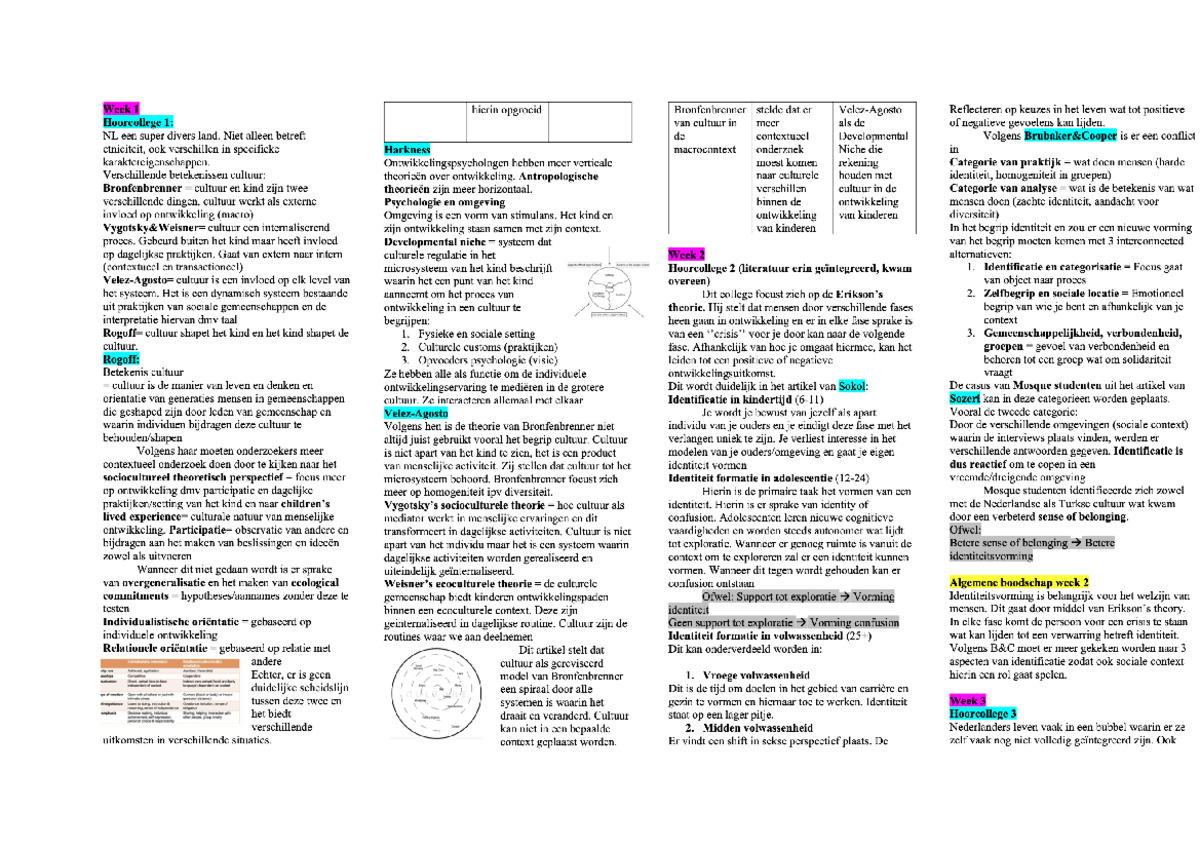 Cultural diversity cheat sheets - Studeersnel