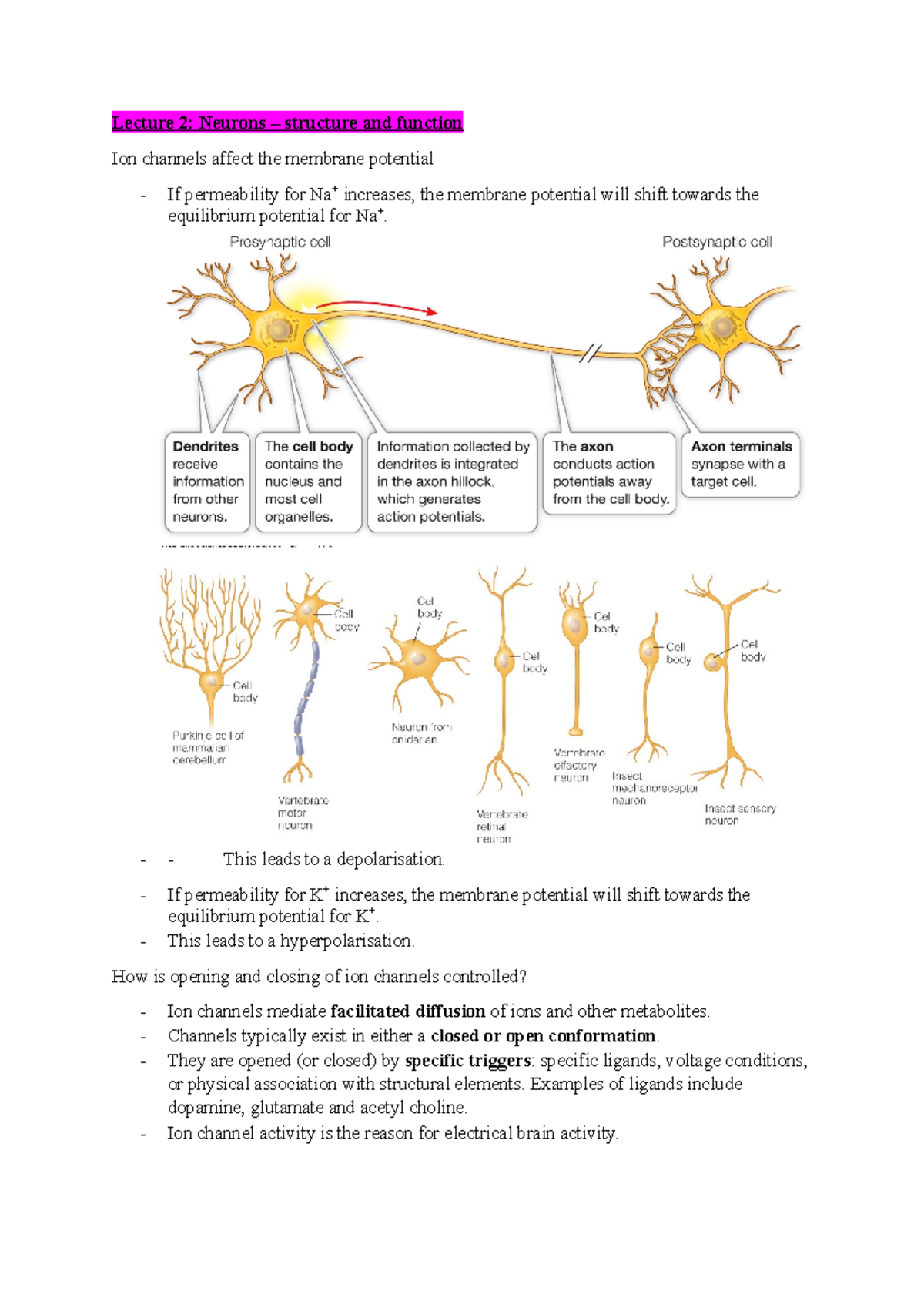 L2 - Structure and function of neurons - Lecture 2: Neurons – structure ...