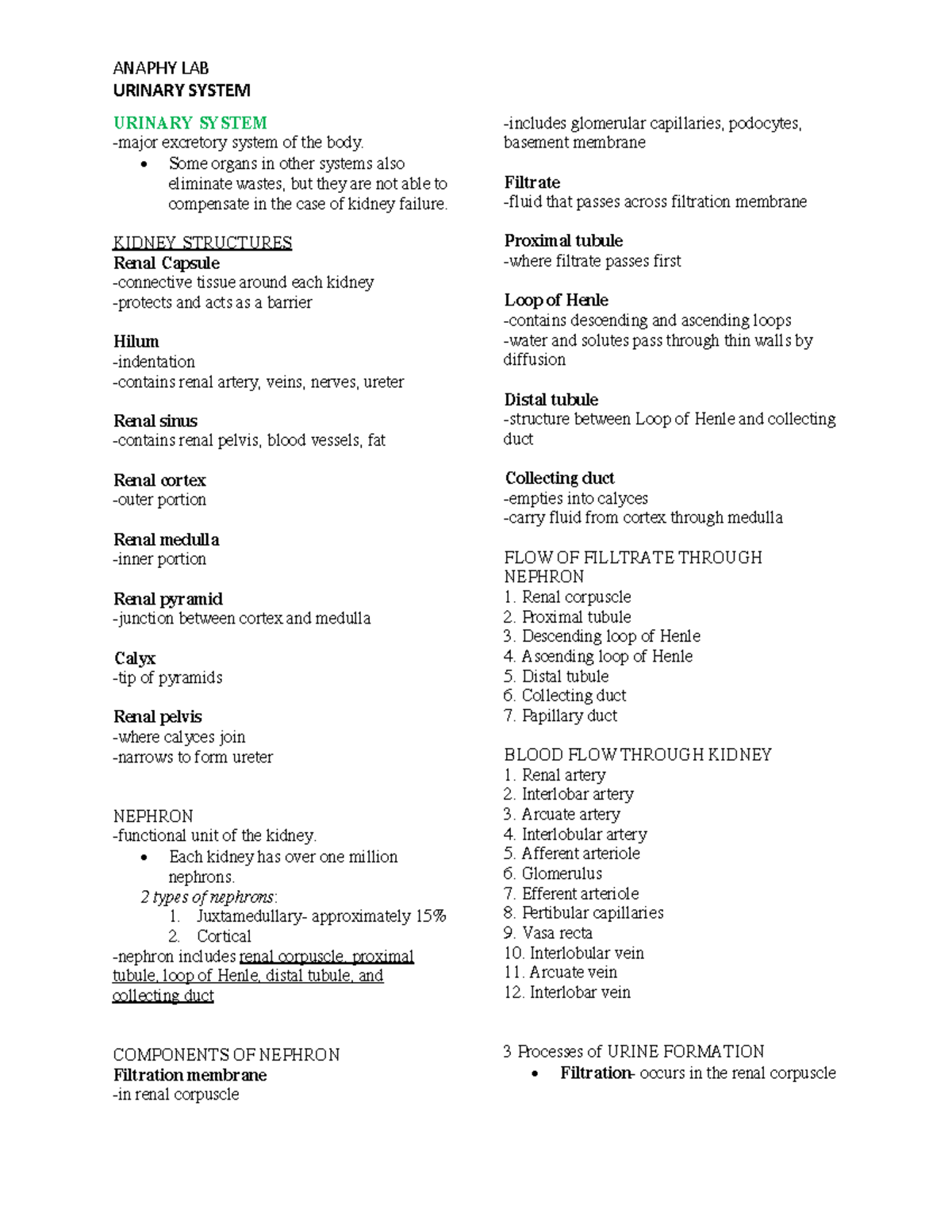 Urinary system (lab) - ANAPHY LAB URINARY SYSTEM URINARY SYSTEM -major ...