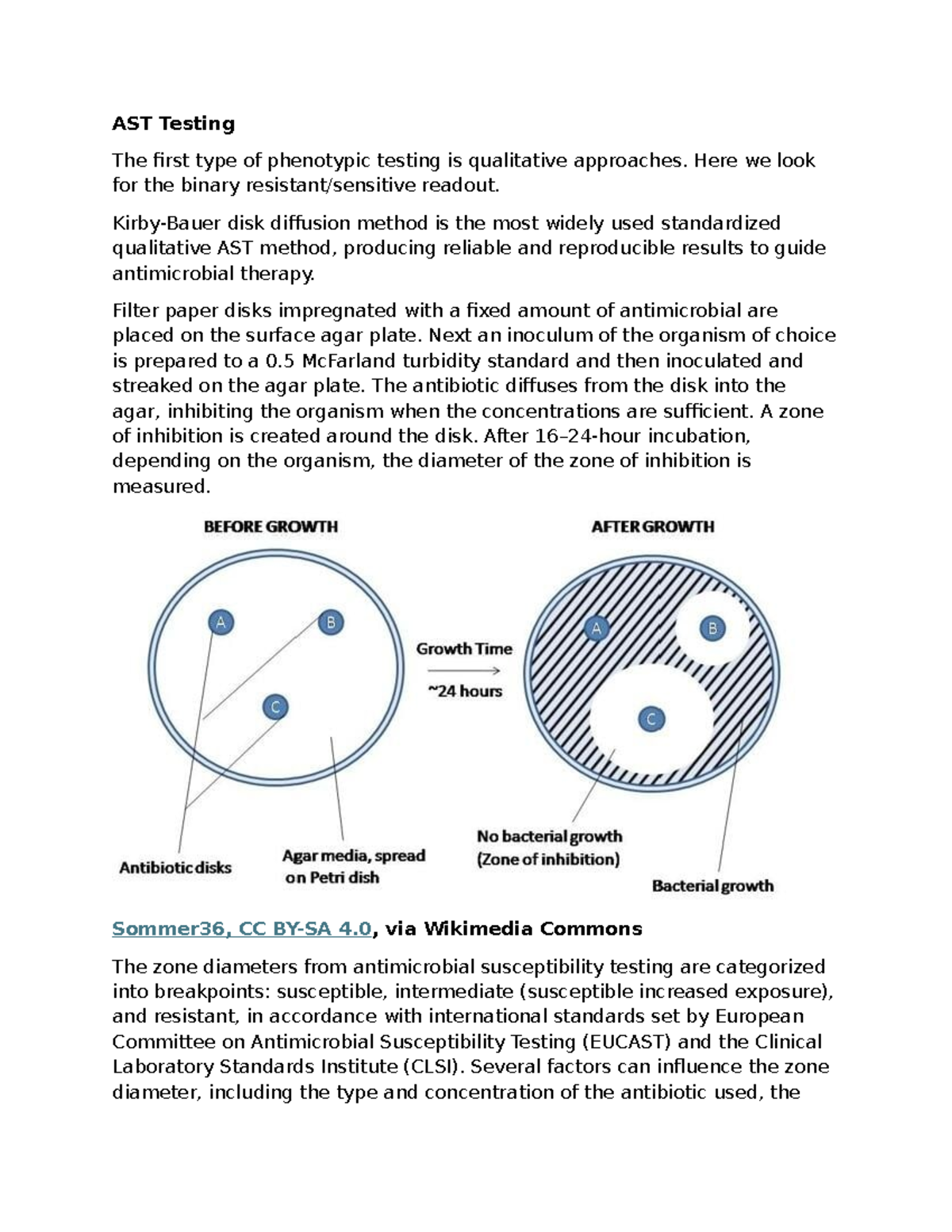 AST Testing - AST Testing The first type of phenotypic testing is ...