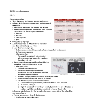 Procedural Diagram for Plaque Assay - 9 mL saline 1 mL 1 mL 1 mL 10 -1 ...