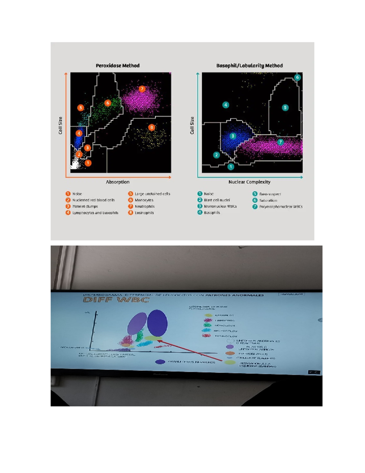 Dispersogramas - ..... - Peroxidase Method Method 6 7 6 4 5 5 8 3 7 3 2 ...