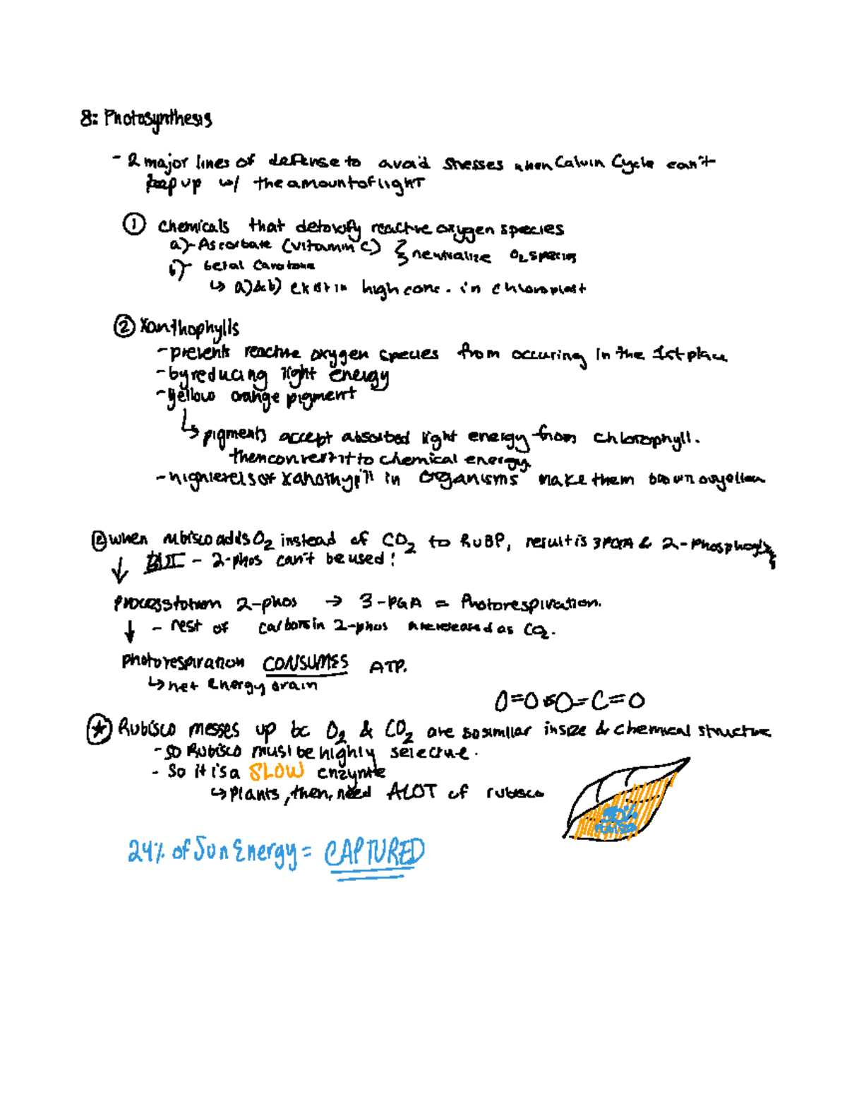 Photosynthesis notes - 8 Photosynthesis 2 majorlines of defense to ...