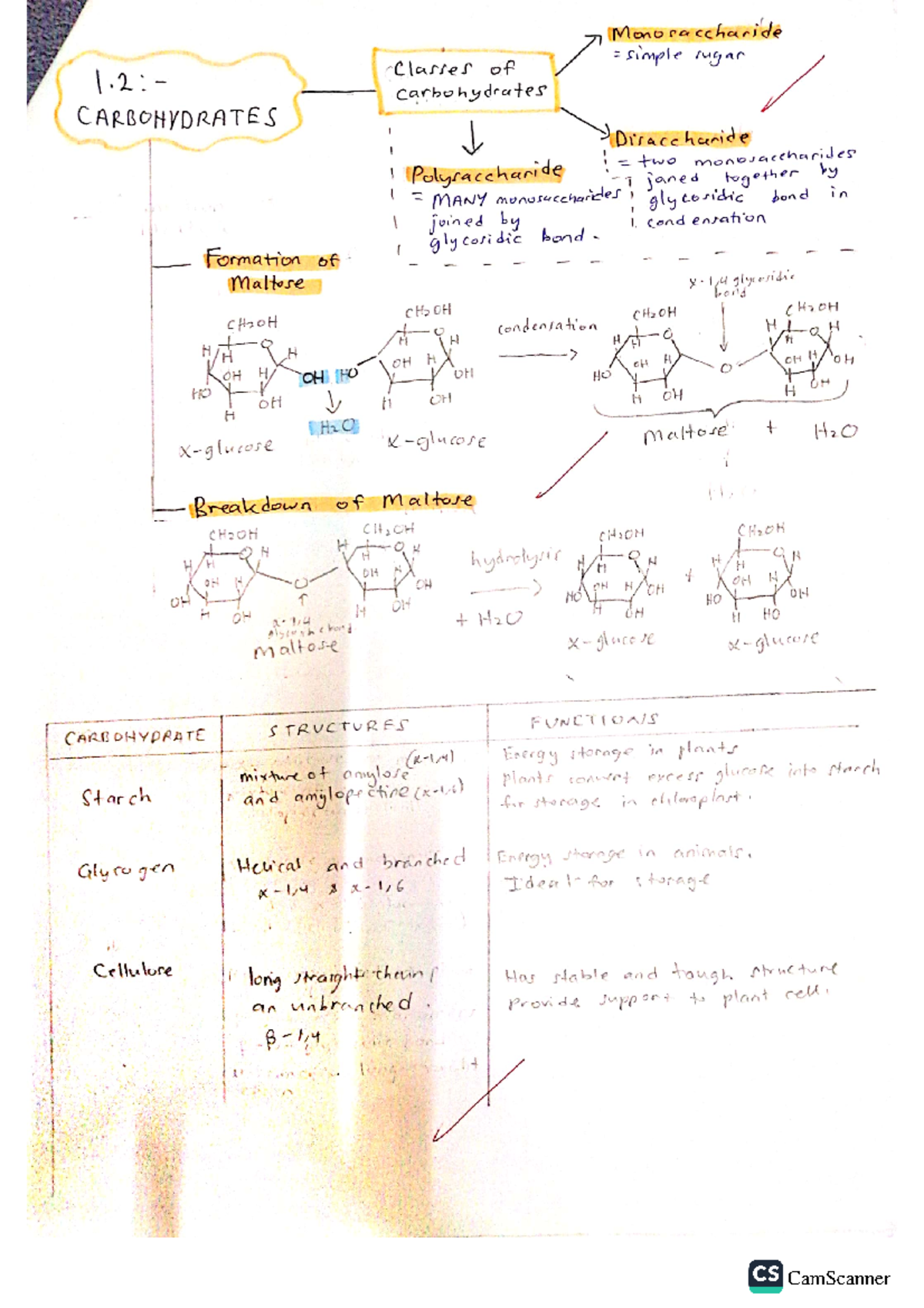 Carbohydrates - ...NOTES BASED ON LEARNING OUTCOMES - Monoraccharide 1 ...