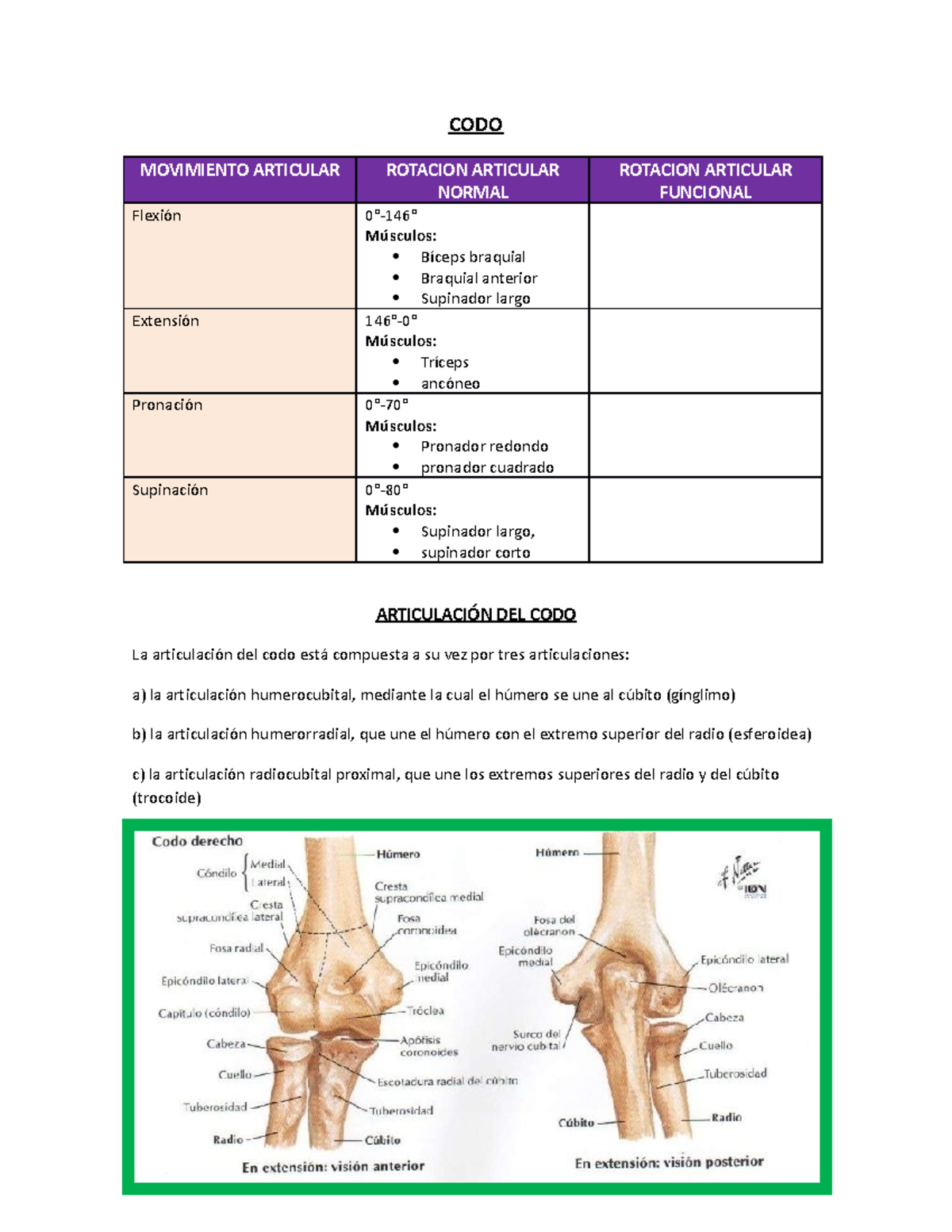 CODO - codo - CODO MOVIMIENTO ARTICULAR ROTACION ARTICULAR NORMAL ROTACION ARTICULAR FUNCIONAL ...
