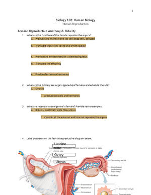 Human Reproduction Notes Pt1 - Biology 102: Human Biology Human ...