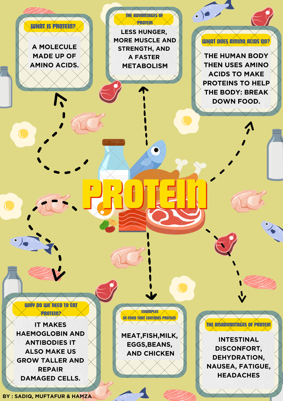 Science project - Proteins(correct one) - PROTEINPROTEIN A MOLECULE ...