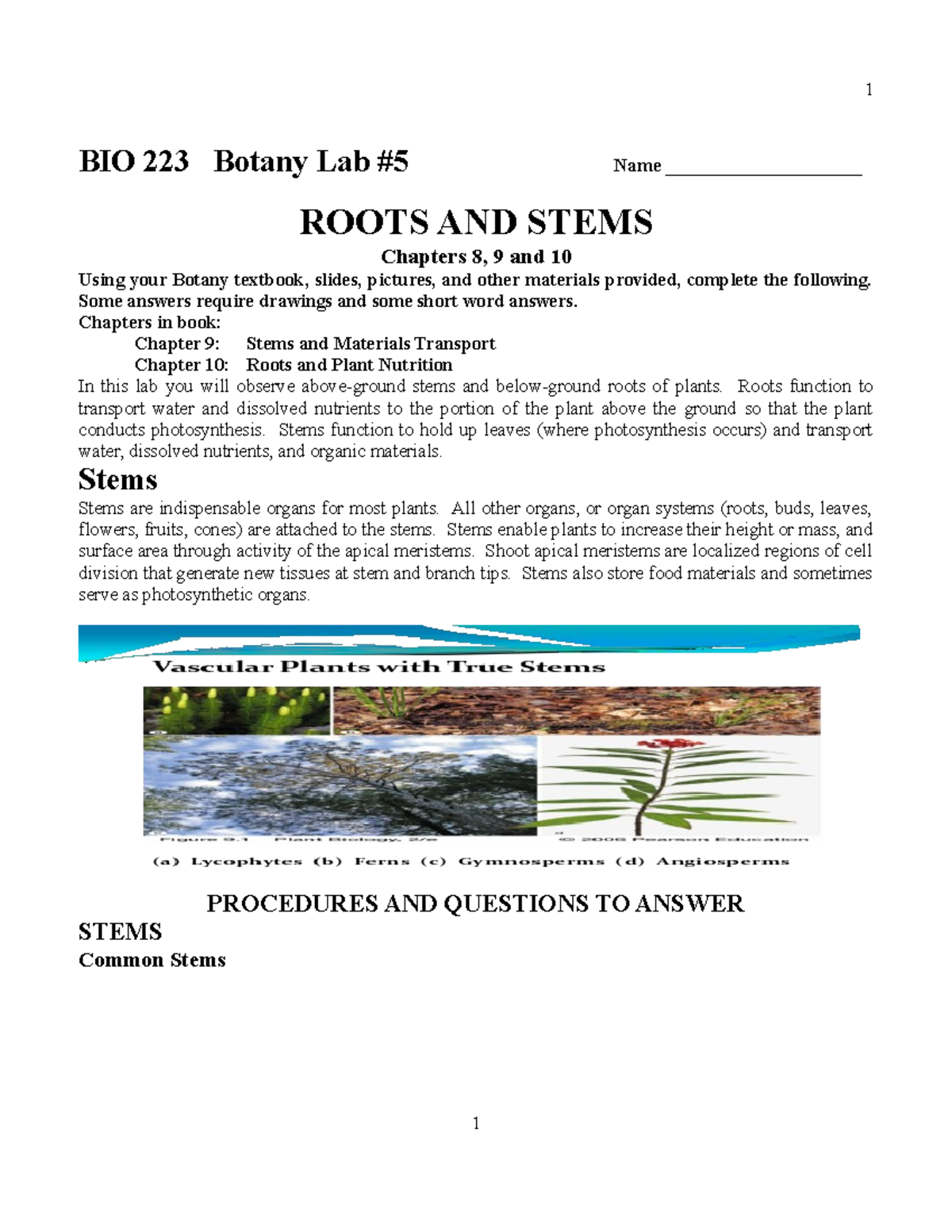 Lab Roots and Stems - BIO 223 Botany Lab #5 Name ...