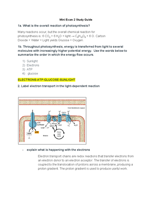 General Biology Chapter 3 - Cells - BIOL& 160 CHAPTER 3 CELLS Cell ...