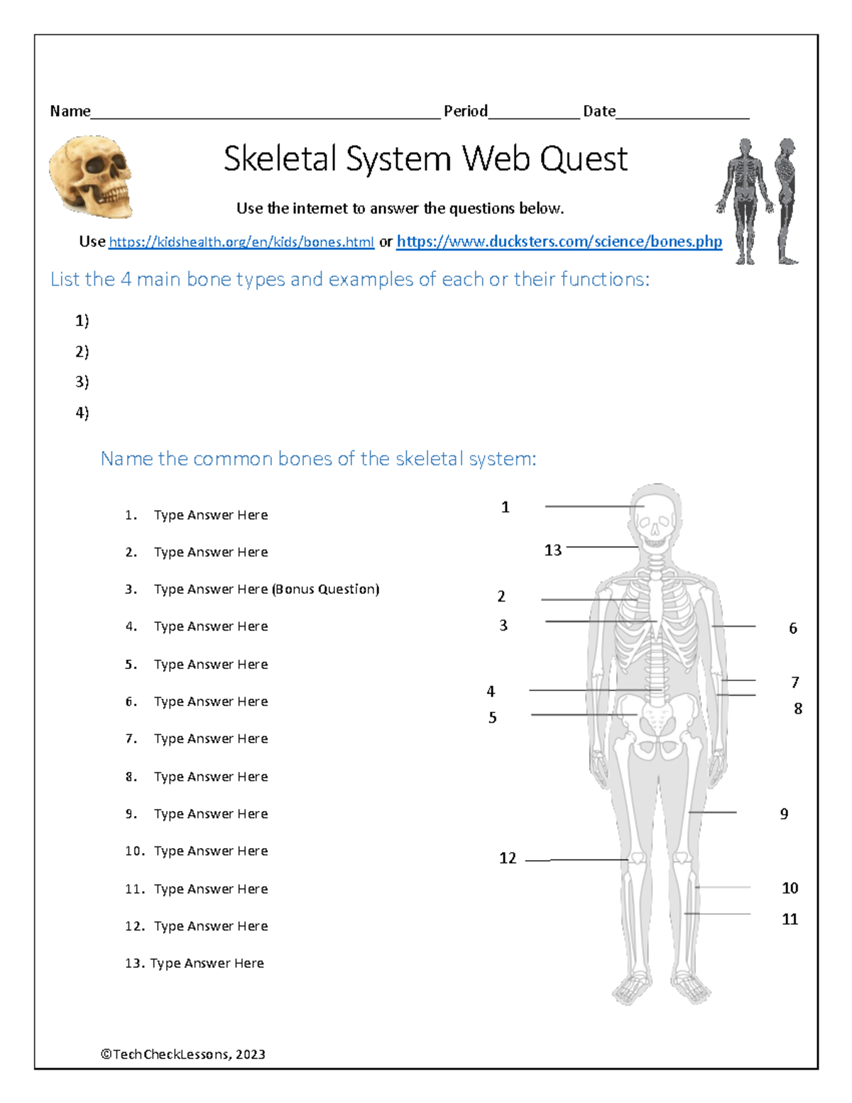 Skeletal System Webquest (Student Copy) - ©TechCheckLessons, 2023 - Studocu