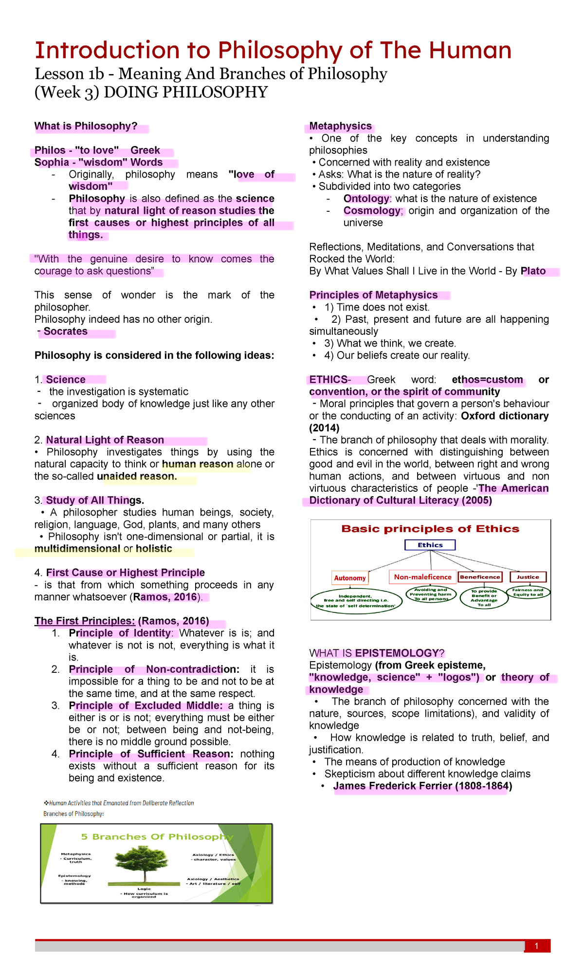 Philoq - notes - Introduction to Philosophy of The Human Lesson 1b ...